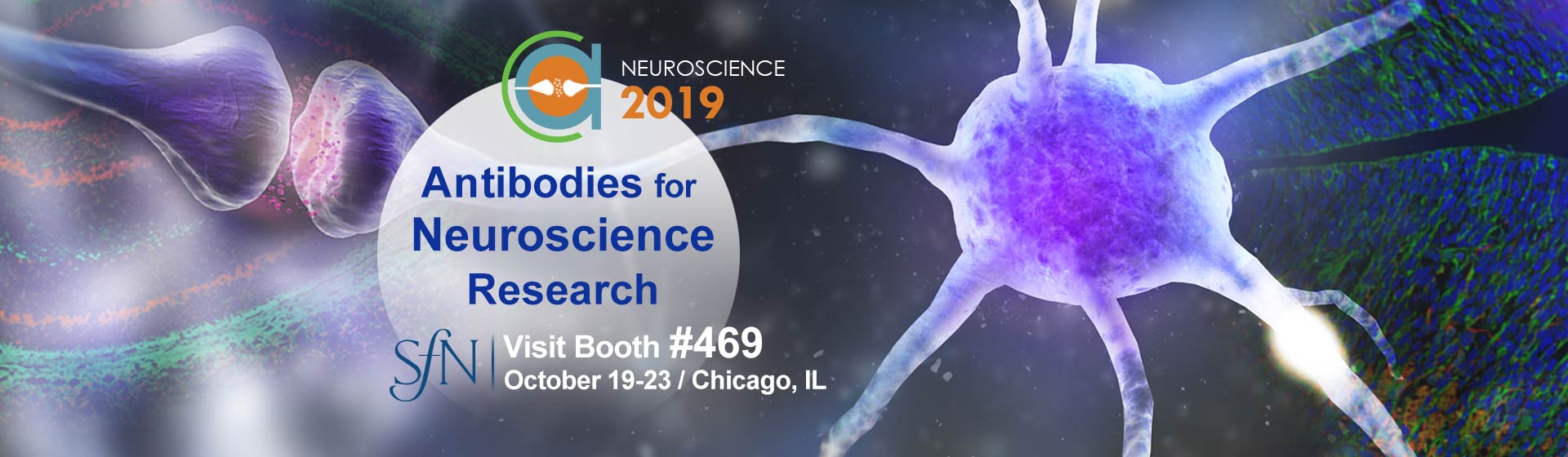 Antibodies, Proteins, Lysates, and Research Reagents | GeneTex