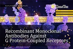 G Protein-Coupled Receptors (GPCRs) | GeneTex
