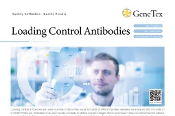 Primary Antibodies | GeneTex