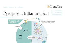 Pyroptosis | GeneTex