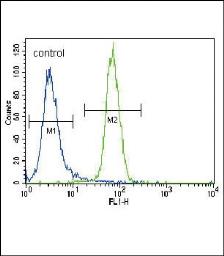 Anti-RUNX2 antibody (GTX81326) | GeneTex