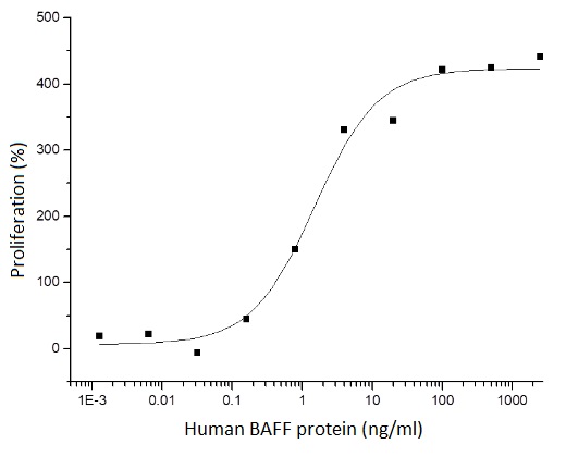 Human BAFF protein, human IgG1 Fc tag (active) (GTX01251-pro) | GeneTex