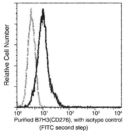 Anti-CD276 antibody [06] (GTX02068) | GeneTex