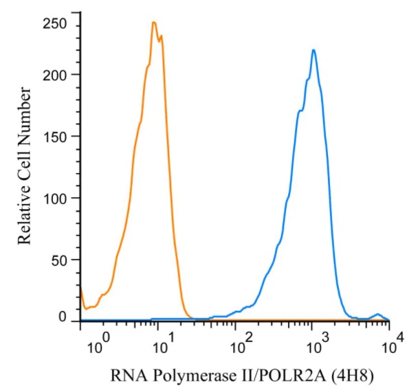 Anti-RPB1 antibody [4H8] (GTX80341) | GeneTex
